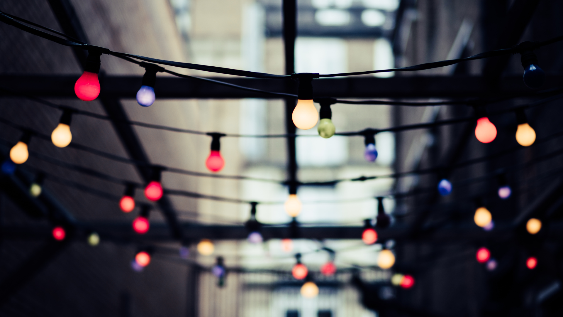 Building the Machine vs. Building the Thing - Reboot